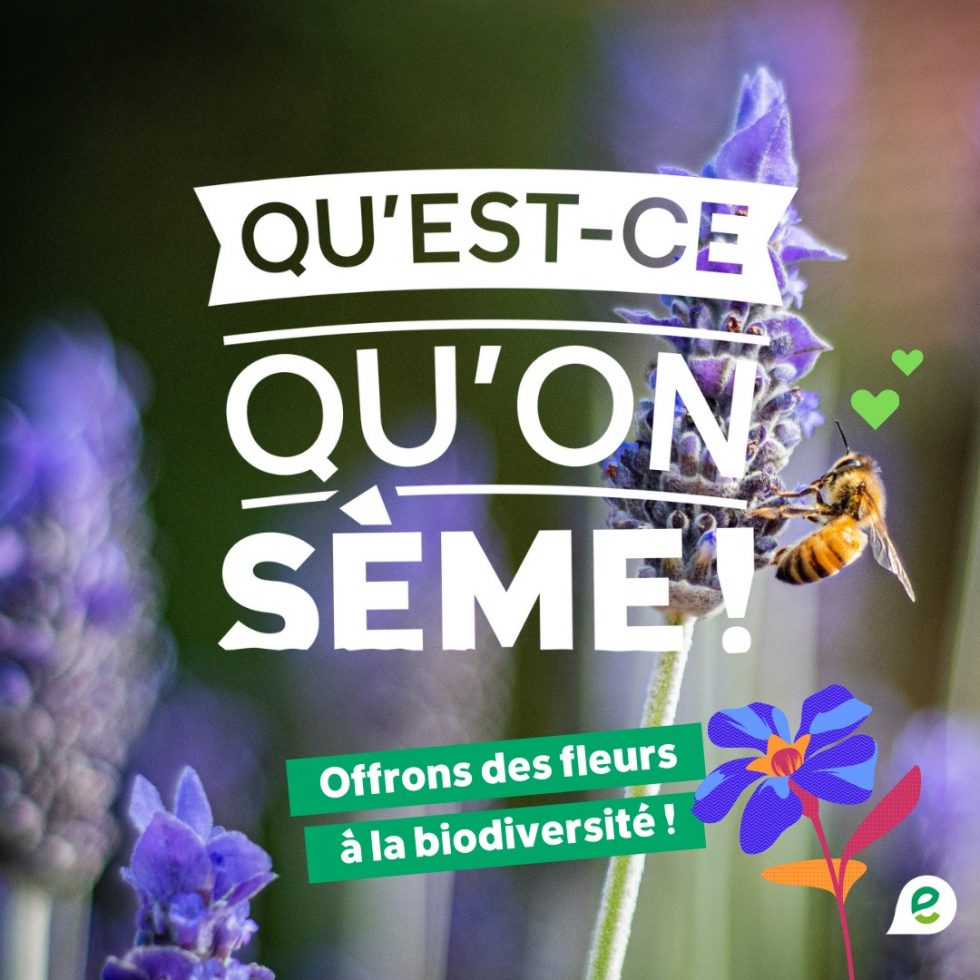 Qu’est-ce qu’on sème ! | Ecolo Braine-l'Alleud